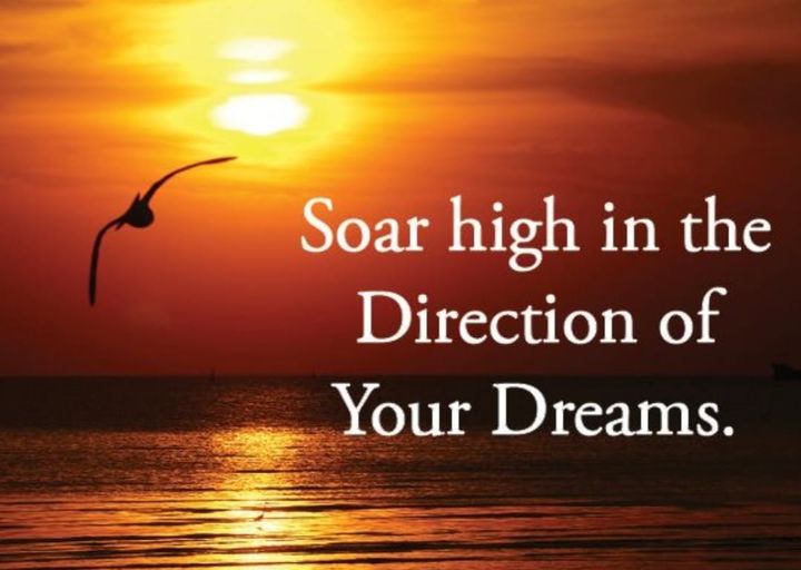 SOAR – Transforming Lives N2 Purpose